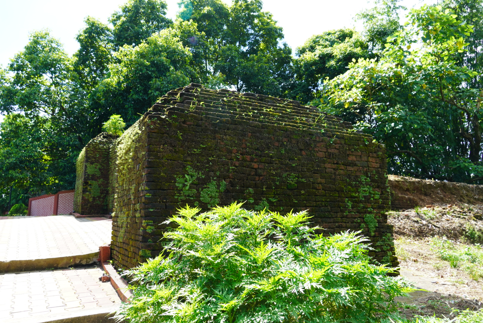 Ita Fort: An Ancient Legacy in Modern Itanagar - Innercall